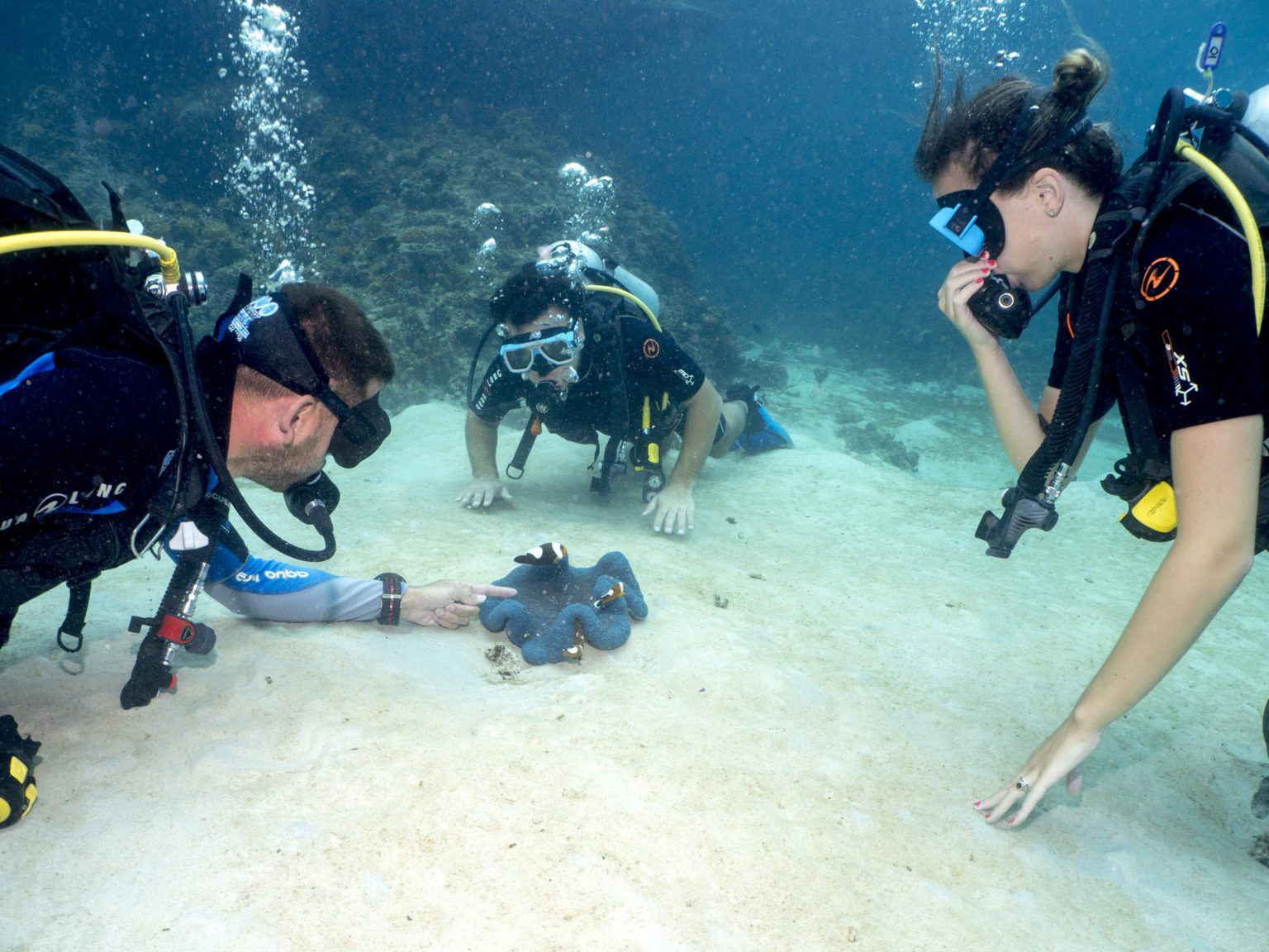 Discover Scuba Dives (3 dives)